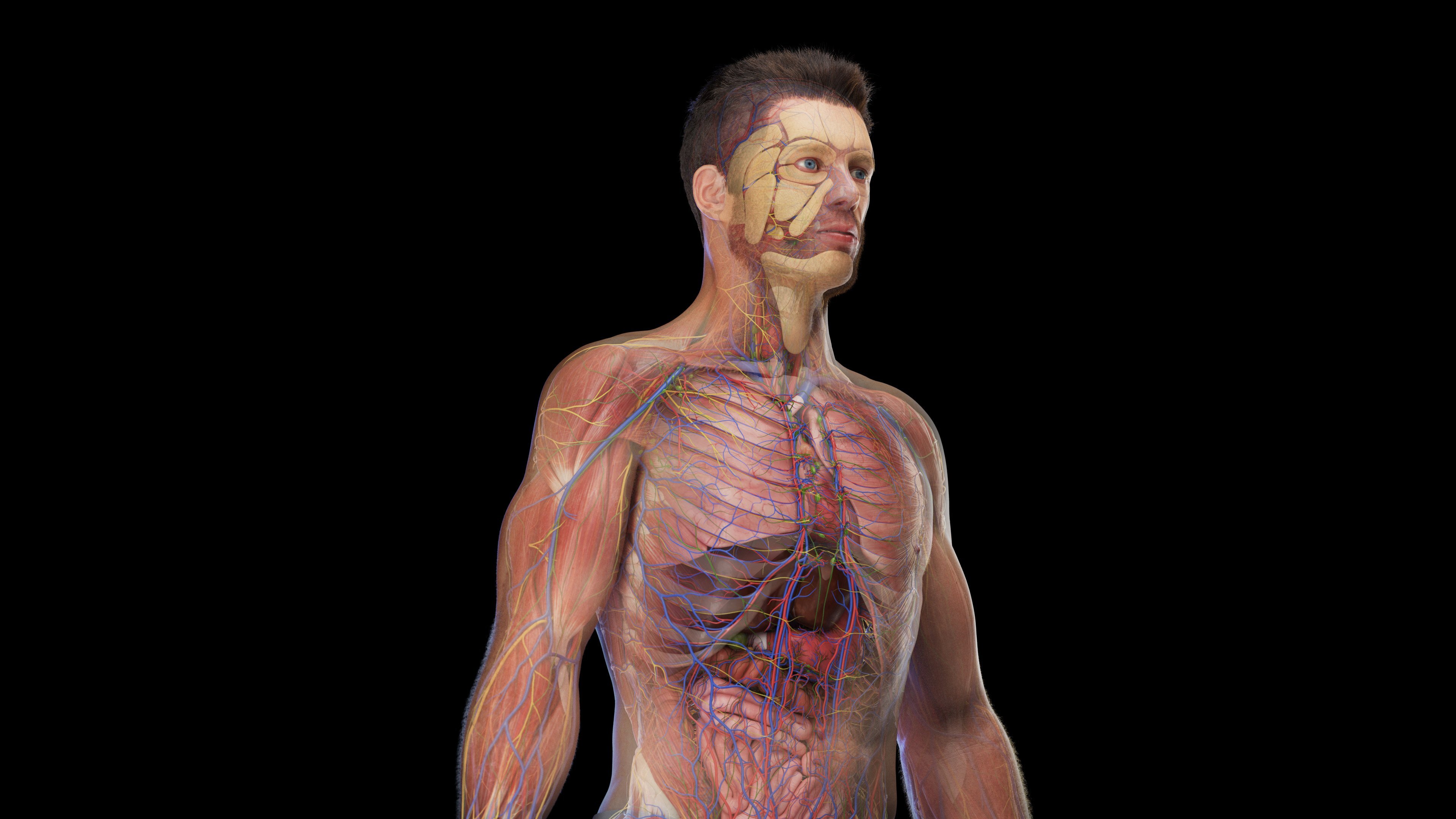 Introducing Envision: Take Enscape Further with Advanced Visualization ...